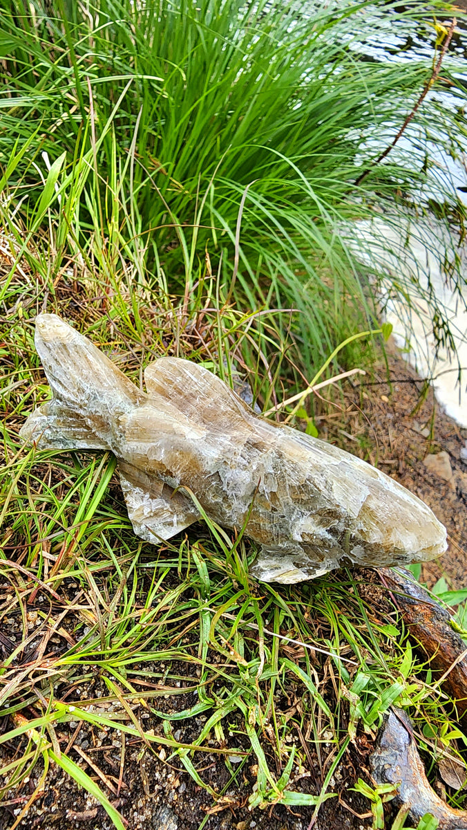 GOLDEN MICA FISH – Crystal Islands